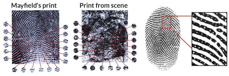 Биометрические технологии: Не только отпечатки пальцев - hi-Tech.ua